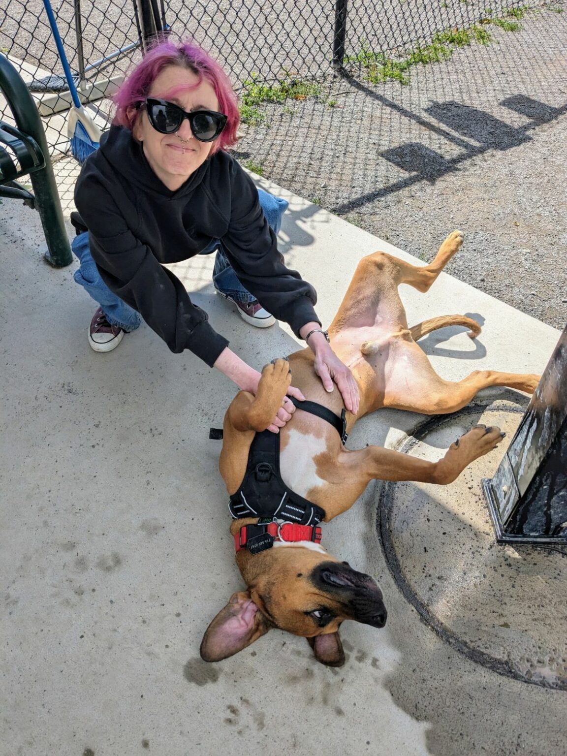 Alyssa and Beep – Dog Park Lancaster, NY Como Lake Bark Park